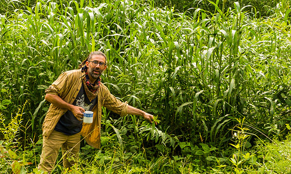 Biochar, Milpa Farming, and Ecstatic Tortilla Grilling - School of ...