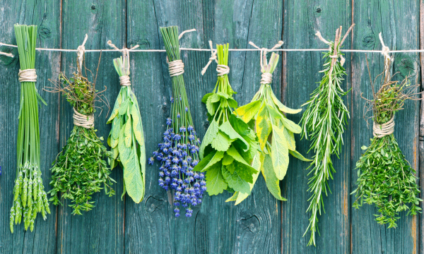 Bioregional Herbalism - School of Integrated Living
